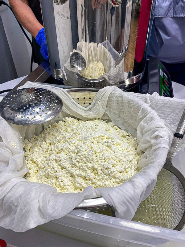 Cheese Curd Making Class! - Sunday, February 2nd | Marchant Manor Cheese